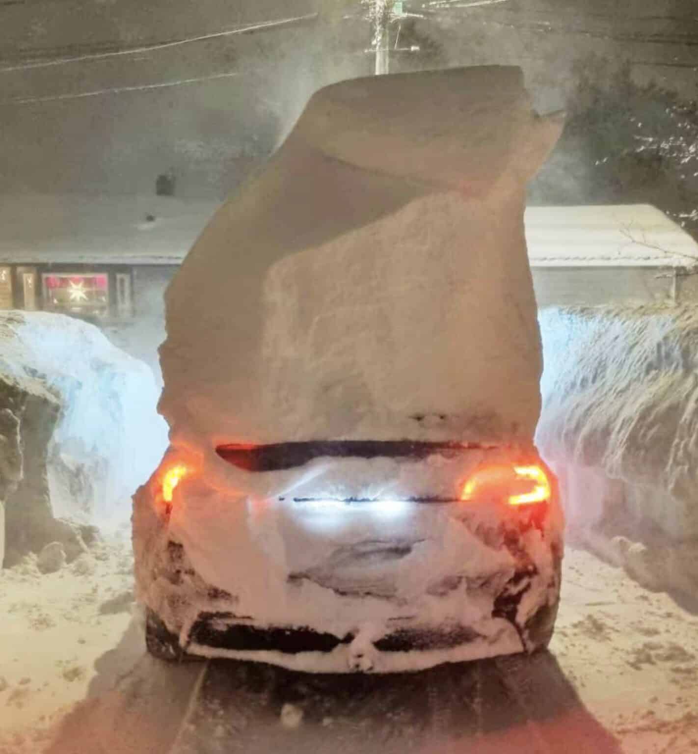 Norway Achieves Historic 89% EV Market Share In 2024, Setting Global ...