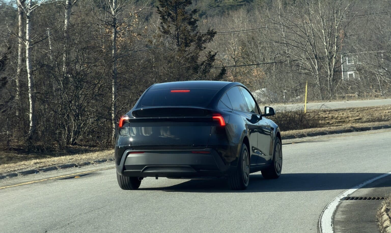 First Tesla Model Y Standard Spotted In The Wild: Here's What Budget ...